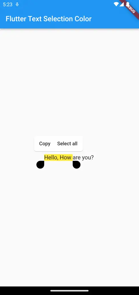 How To Change Selection Color Of Text In Flutter Flutterforyou
